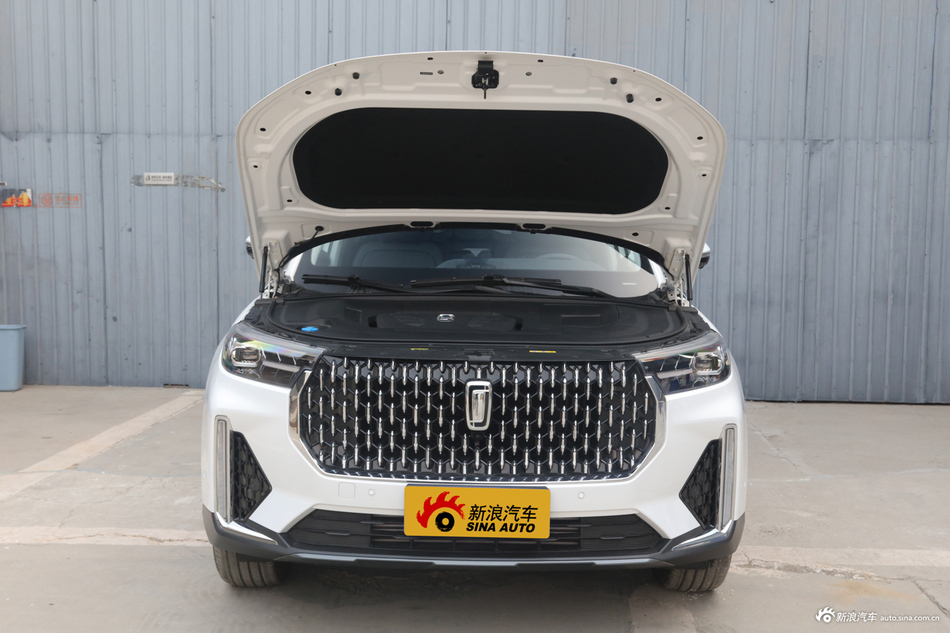 【奔腾2019款奔腾T99 20TD 自动旗舰型】报价_参数_图片 – 新浪汽车